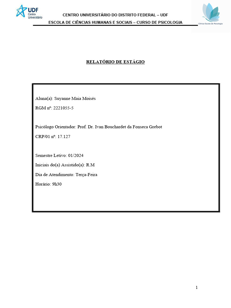 RelatÃ Rio Suy | PDF