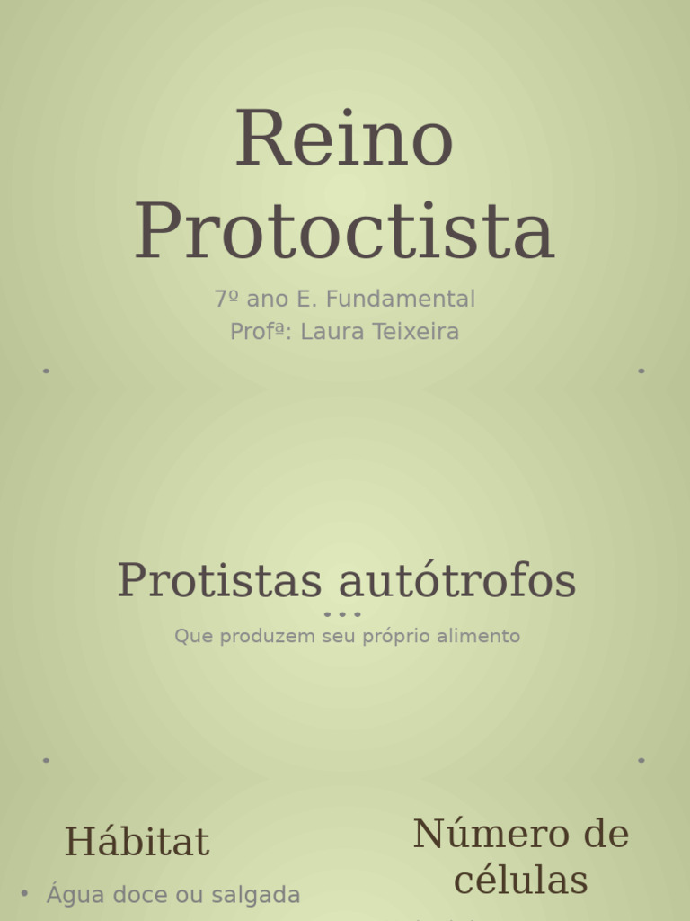 Reino Protoctista 18 | PDF