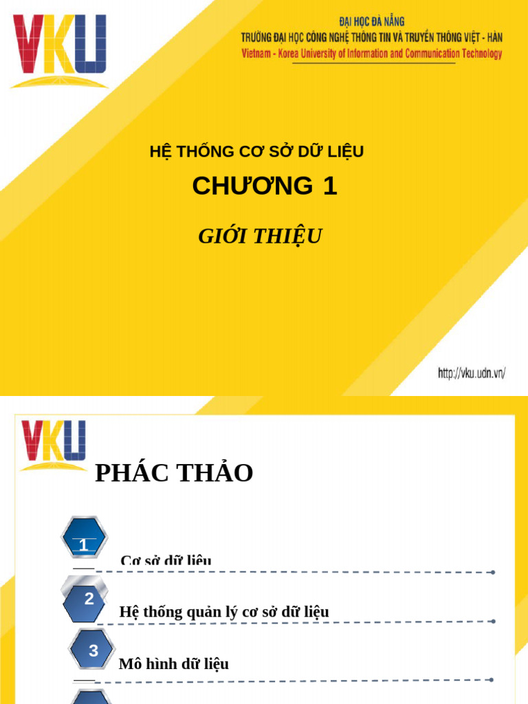 Chương 1 2 (Bản Việt) CSDL | PDF