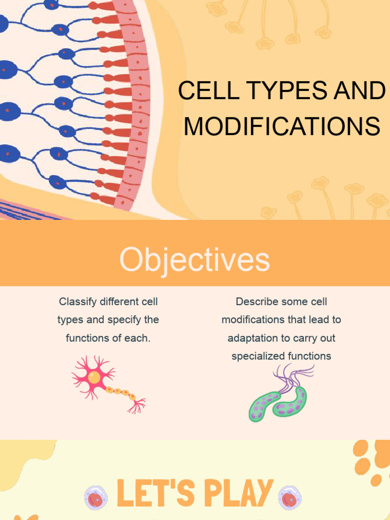 Cell Types and Modifications | PDF | Tissue (Biology) | Histology