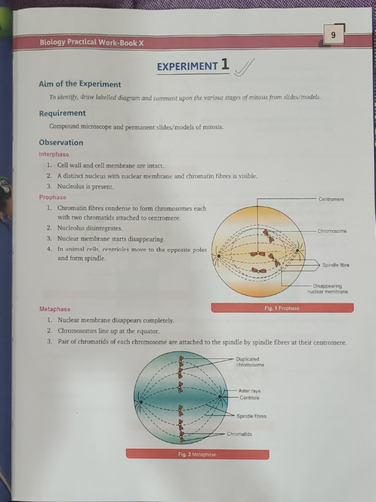 Biology Lab Manual Work (1) | PDF