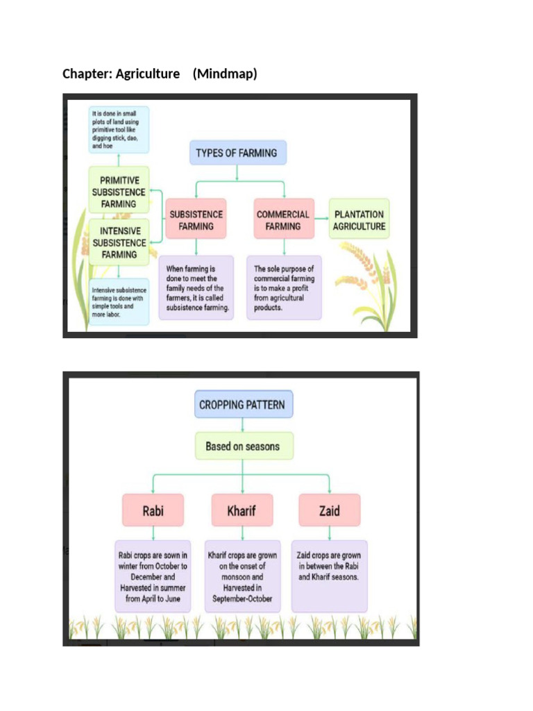 Agriculture Mindmap | PDF