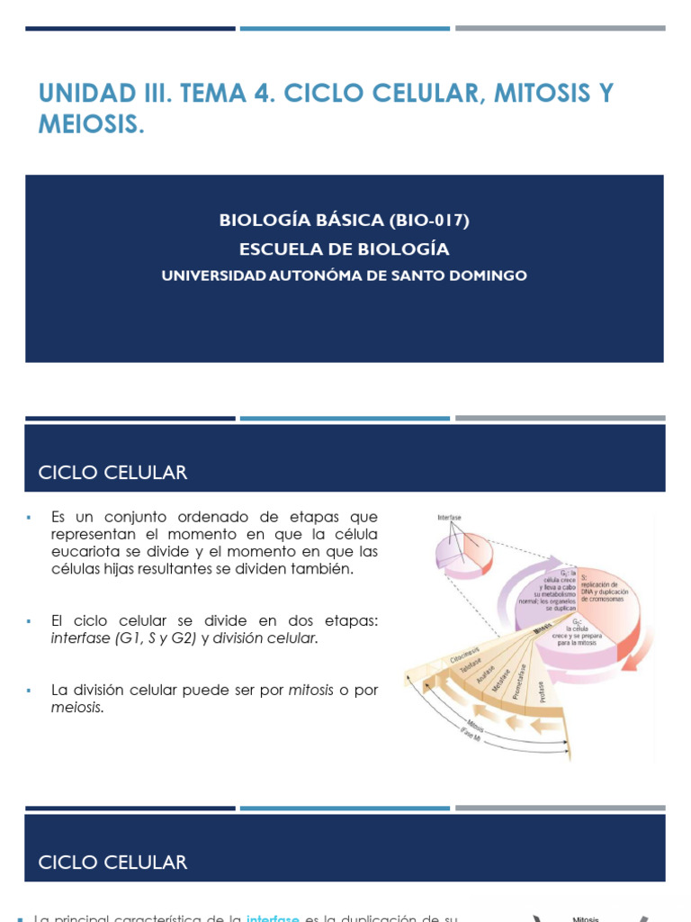 Unidad III. Tema 1,2,3. Ciclo Celular, Mitosis y Meiosis | PDF