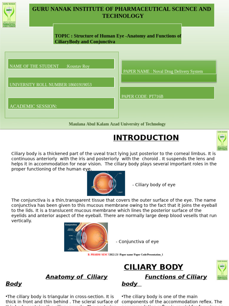 Noval Drug Delivery System | PDF