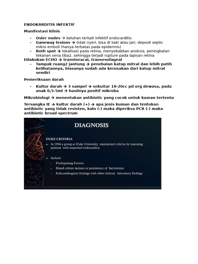 Endokarditis Infektif & Lifestyle Modif | PDF