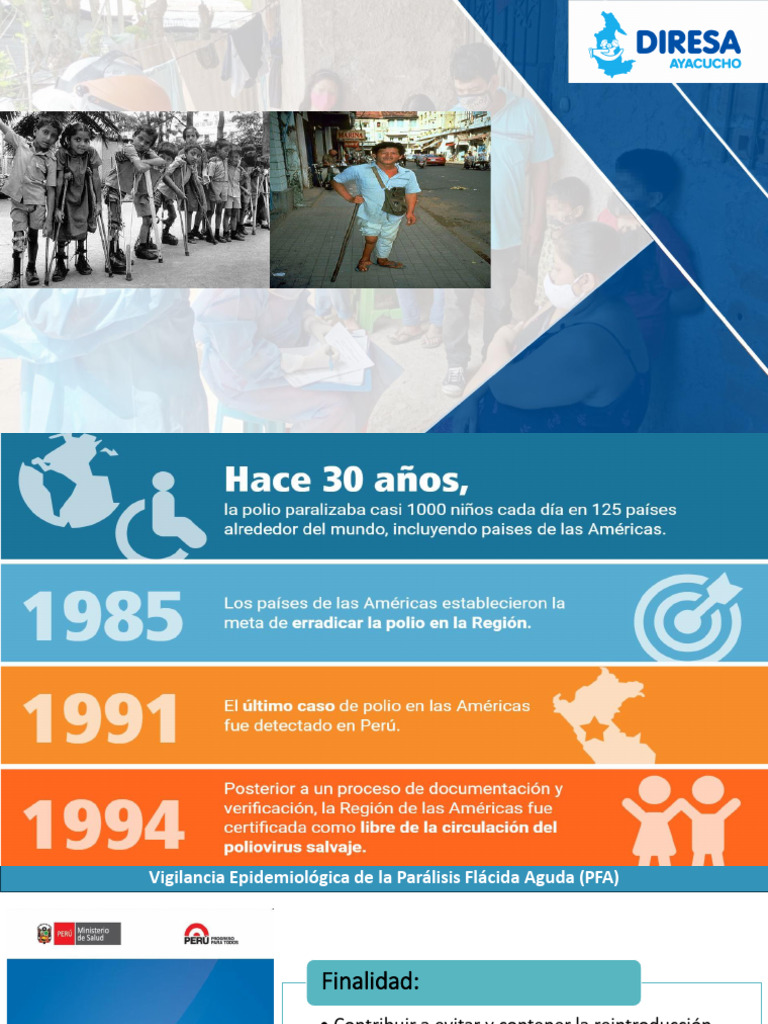 Vigilancia PFA DIRESA AYACUCHO | PDF