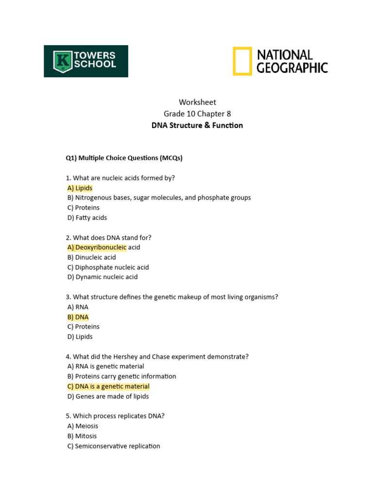 Worksheet G10 CH 8 | PDF