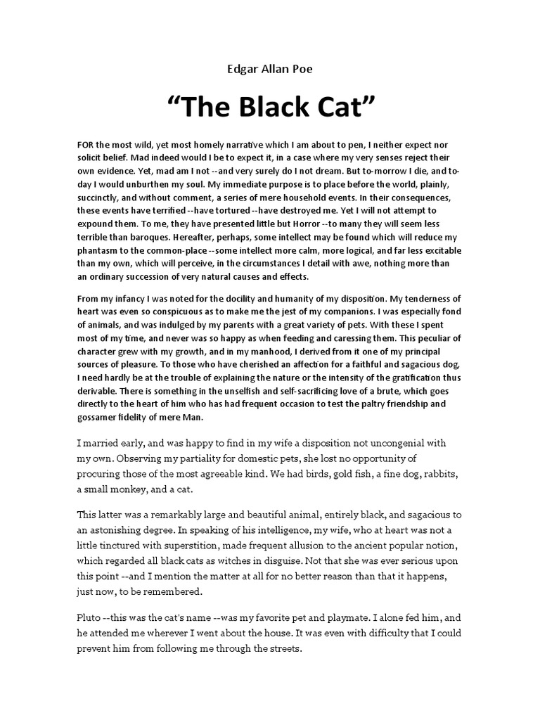 The Black Cat Text | PDF | Plaster | Cats