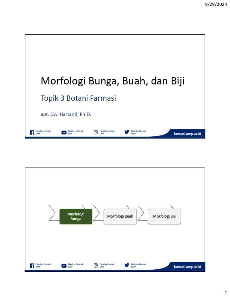 Materi 4 - Morfologi Bunga, Buah, dan Biji, ppt | PDF