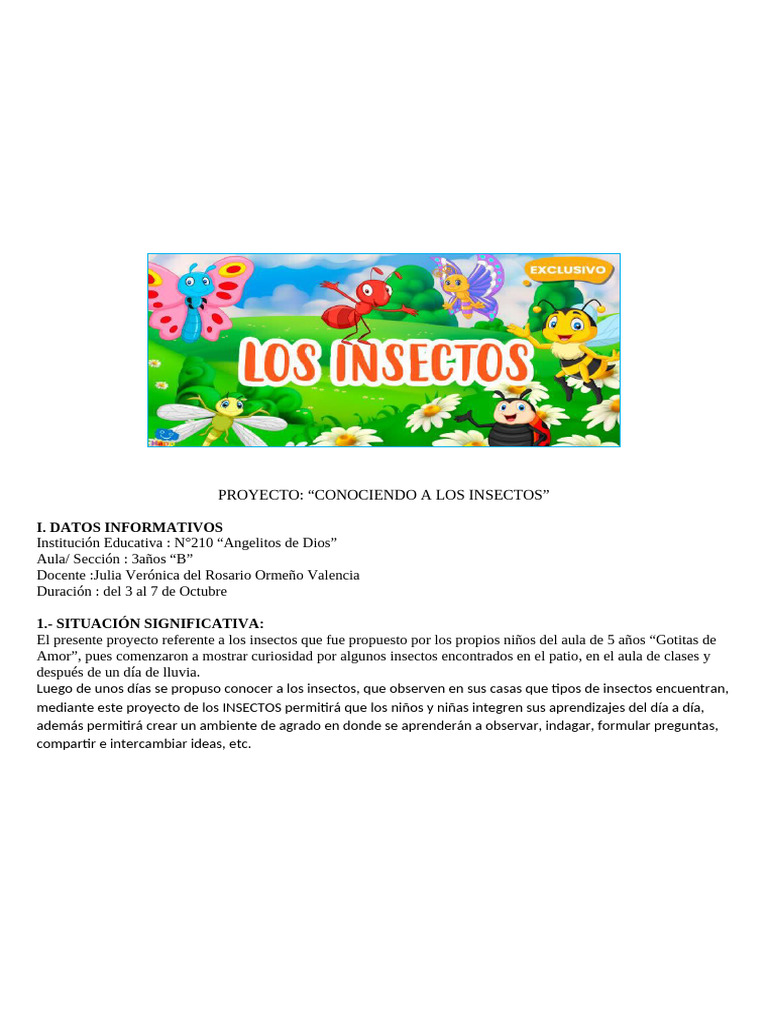PROYECTO los insectos | PDF