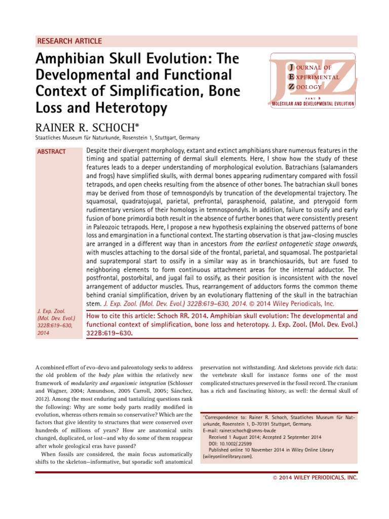 Schoch 2014 Amphibian Skull Evolution | PDF