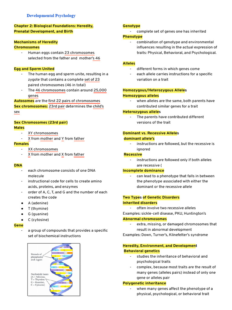Developmental Psychology | PDF