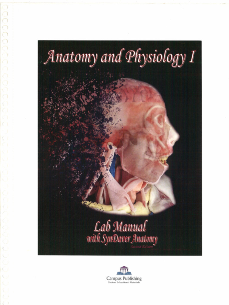 Lab Manual With Syndaver Anatomy | PDF