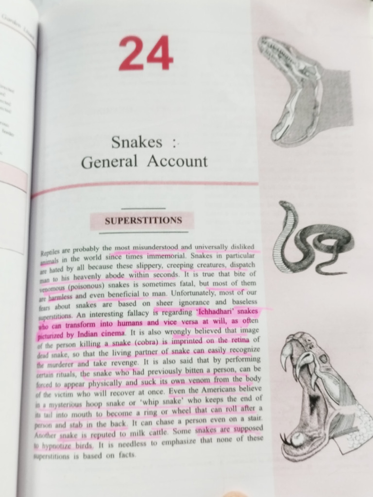 Biting Mechanism of Snake | PDF