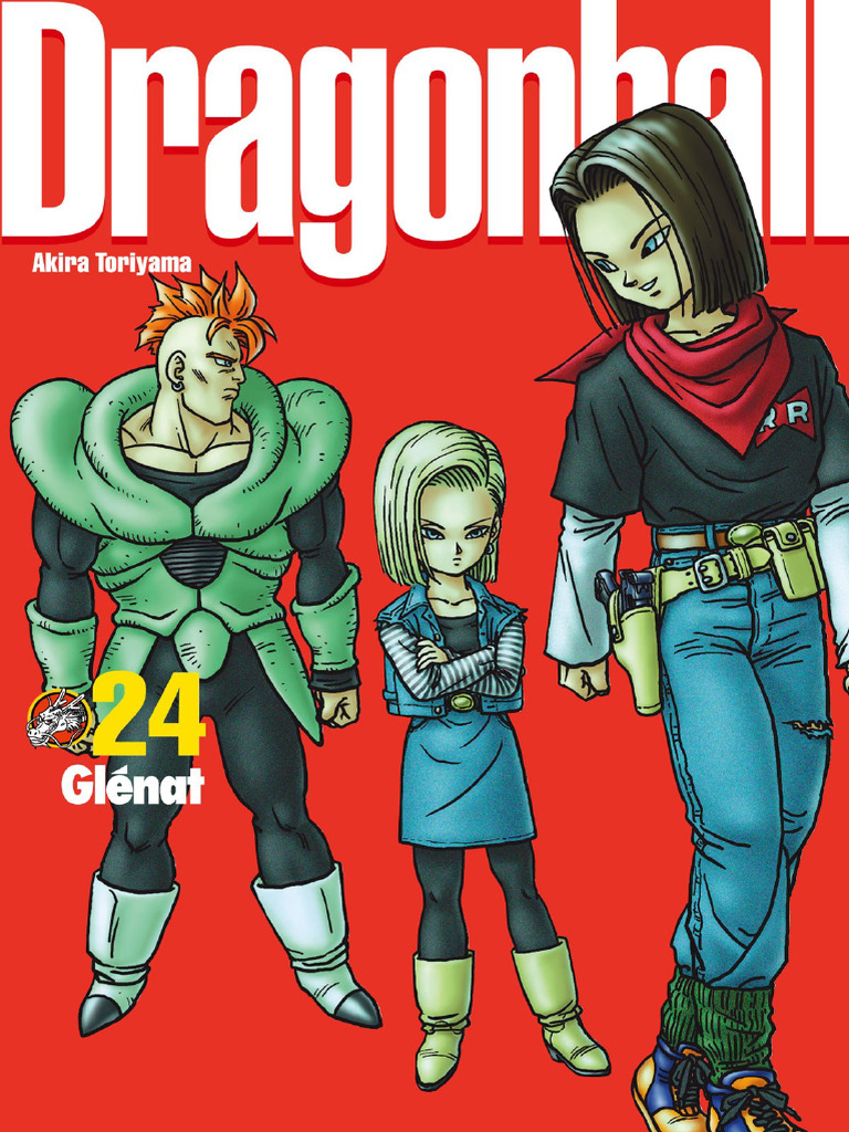 Dragon Ball Perfect Edition T24 | PDF