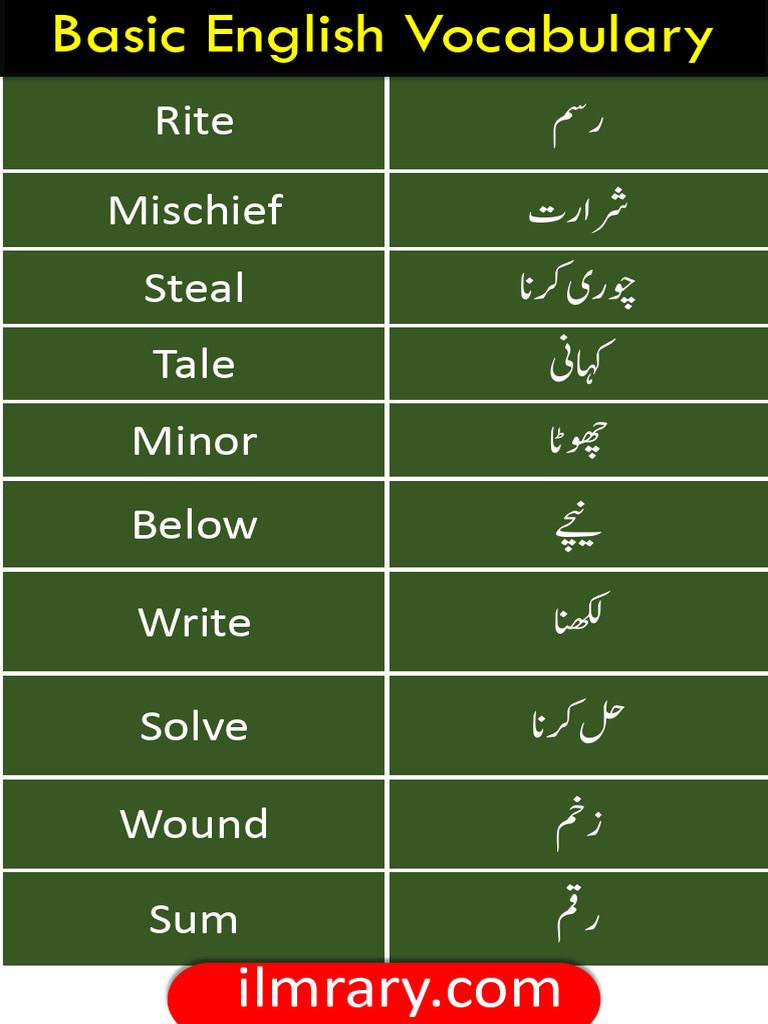 Basic English Vocabulary | PDF