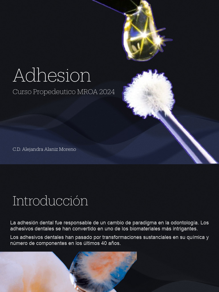 Presentacion Final | PDF