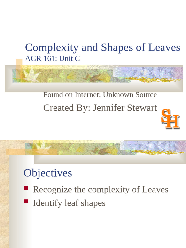 Day 3 Leaf Shapes | PDF