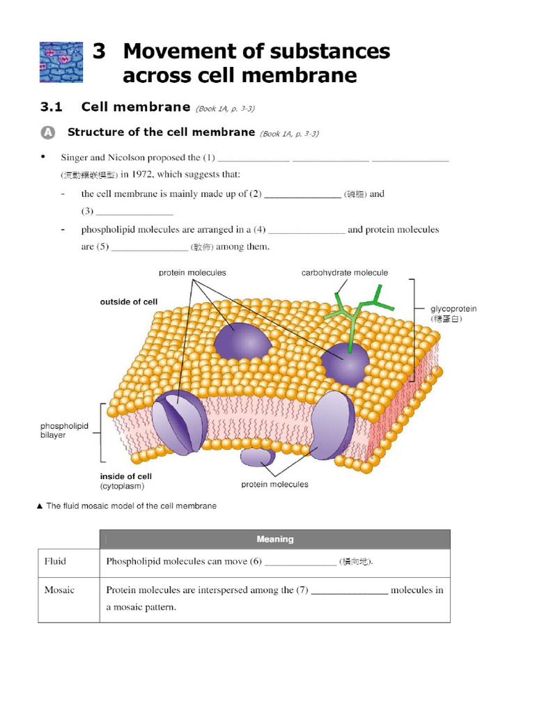 Bio 3 Movement Substances | PDF