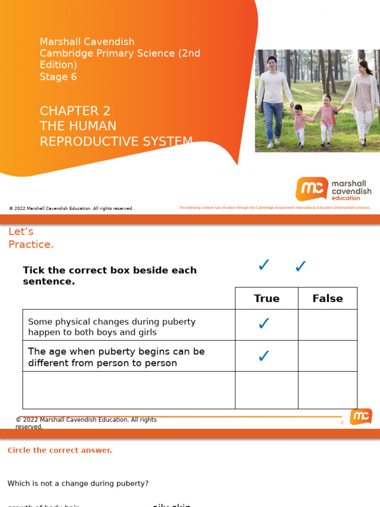 Exercise 2 Science 6 | PDF