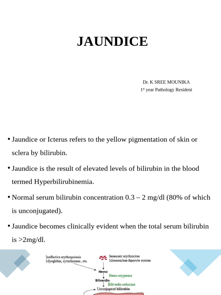 jaundice | PDF