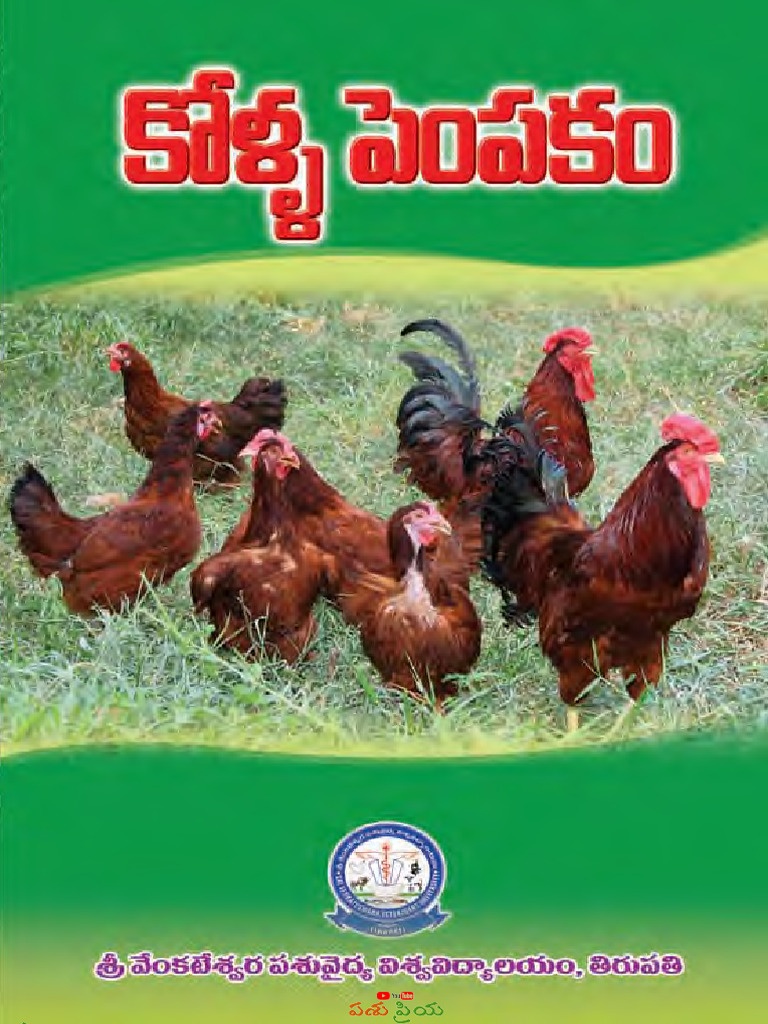Rambabu Kolla Pempakam | PDF