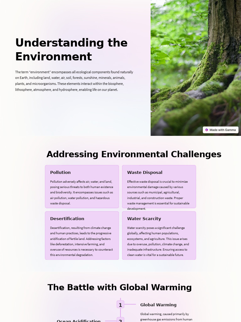 Understanding the Environment | PDF
