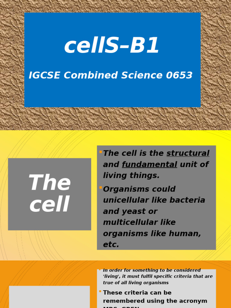B1 -The cells | PDF