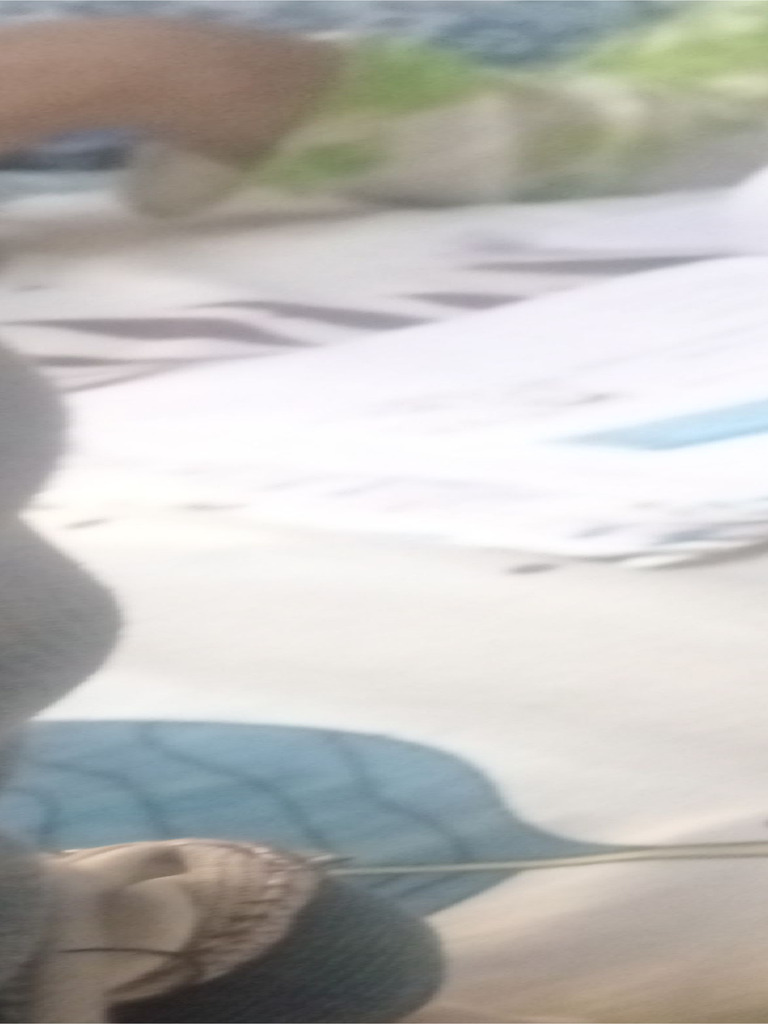 Scanned 20241013 120824 | PDF