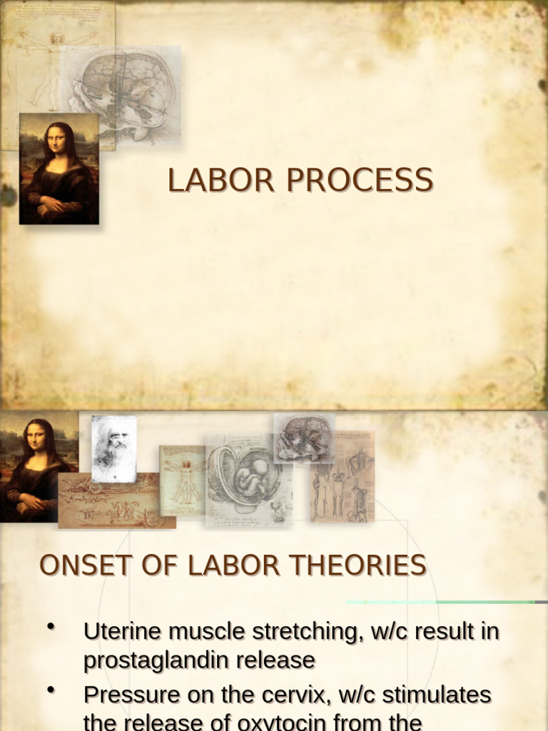Labor Process 2 | PDF