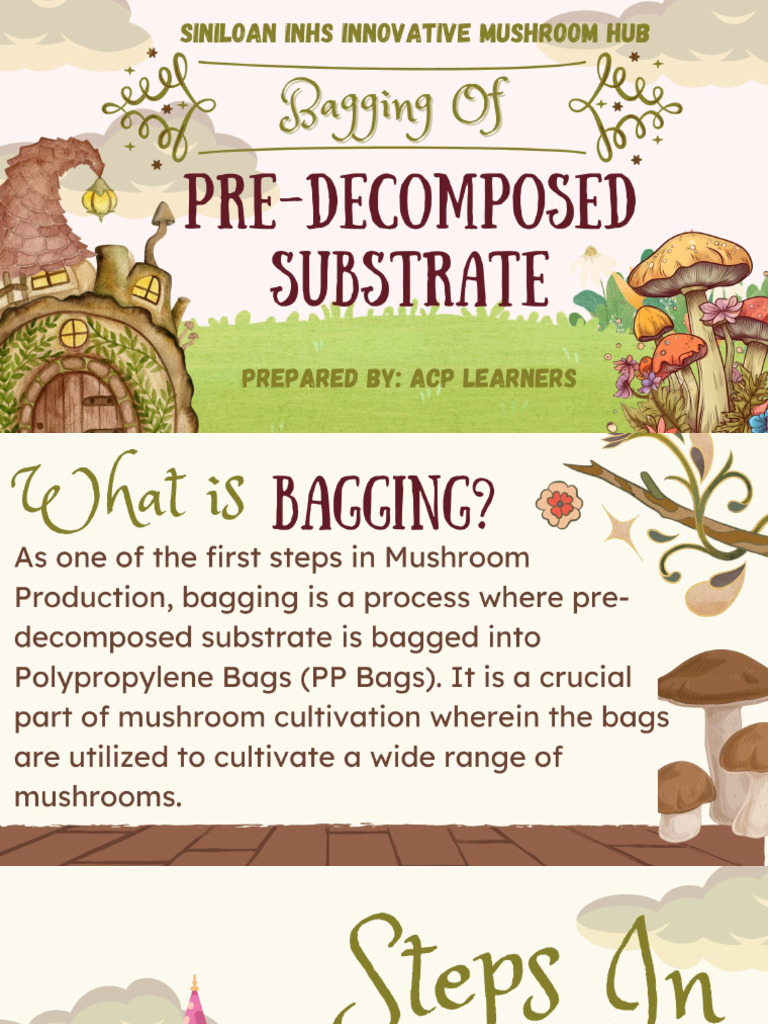 7 Bagging | PDF