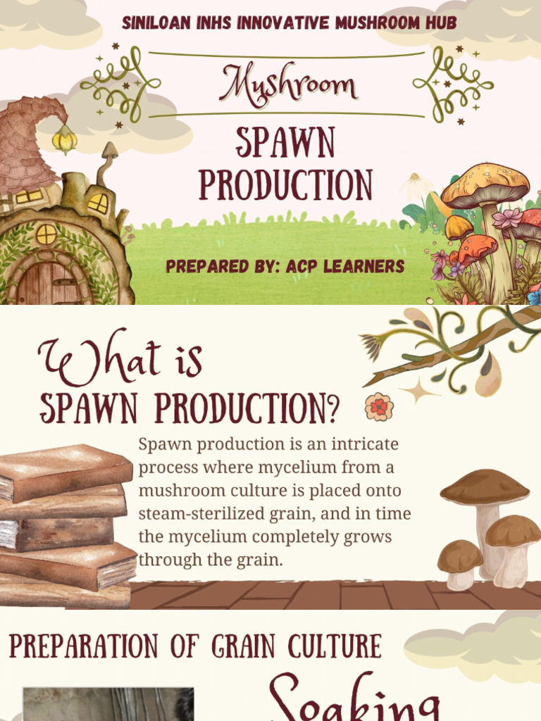 12 Spawn Production | PDF