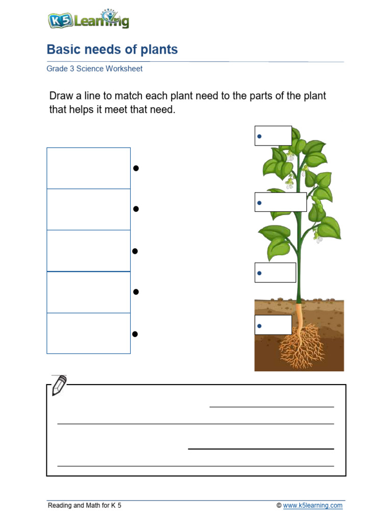 Grade 3 Basic Needs A | PDF
