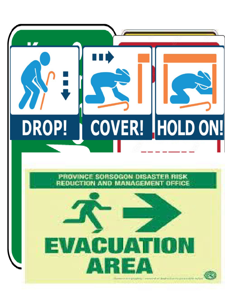 DISASTER SIGNAGES | PDF