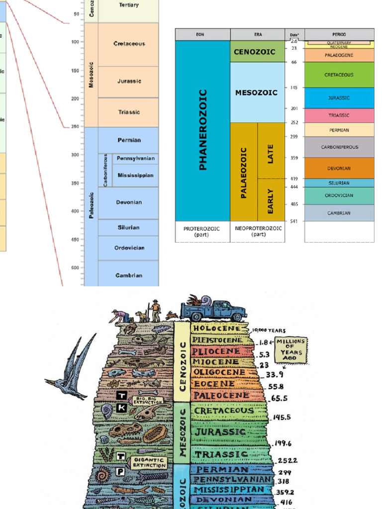 Human Evolution And Cultures Uk Mishra Pdf