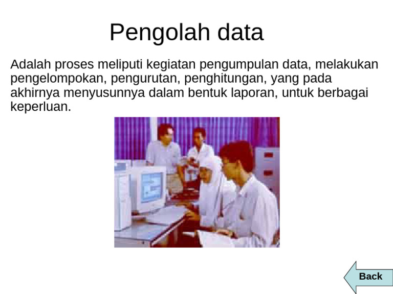 Pengolah data | PDF