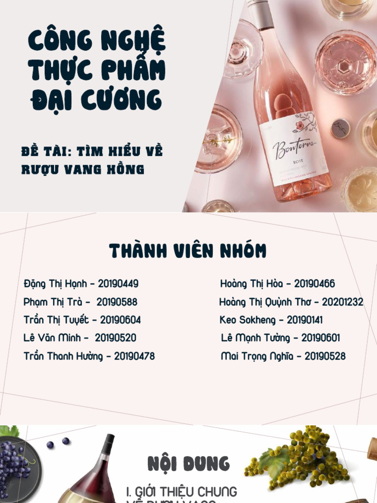 Thuyet Trinh Ruou Vang Hong | PDF