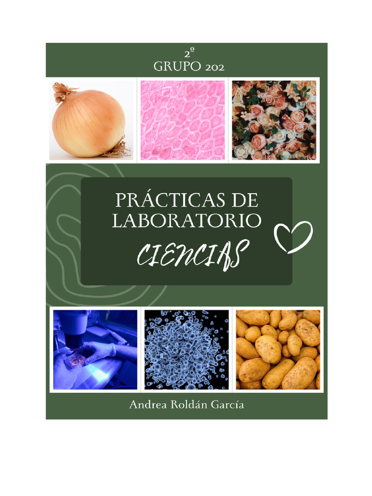 Ciencias Practicas Laboratorio | PDF
