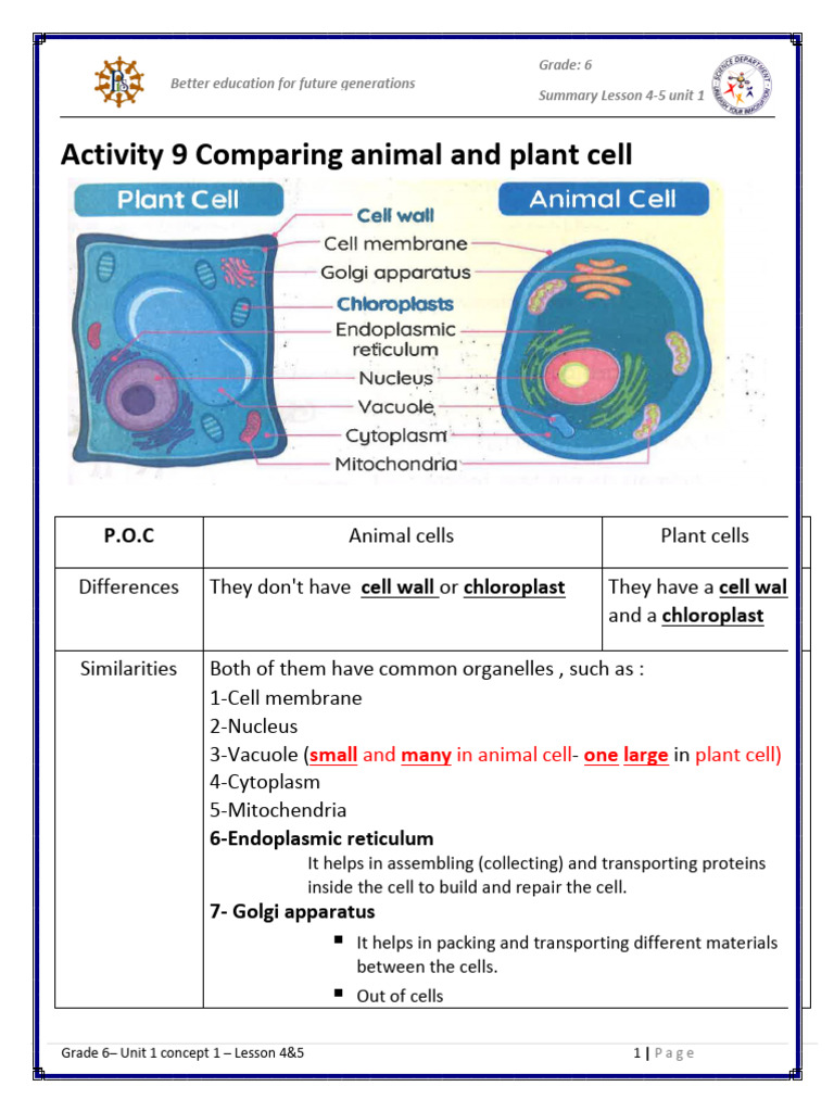 Activity 9 Comparing Animal and Plant Cell: P.O.C Cell Wall Chloroplast ...