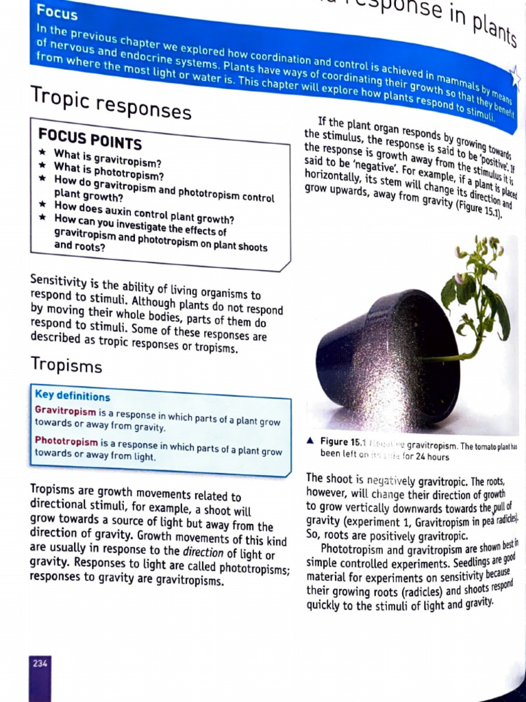 Coordination and Response in Plants | PDF