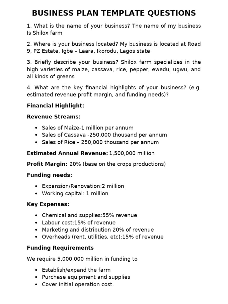 Business Plan Template Questions | PDF