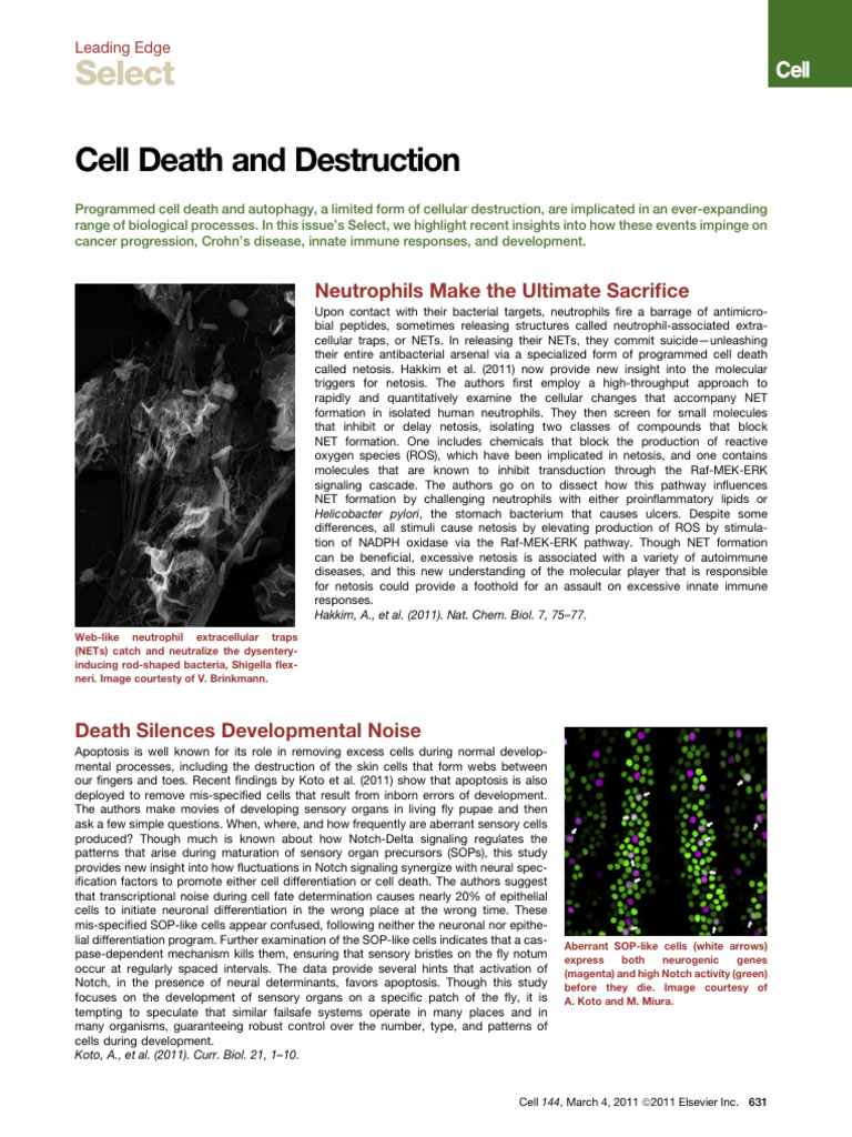 Cell Death and Destruction Cell | PDF | Autophagy | Science & Mathematics