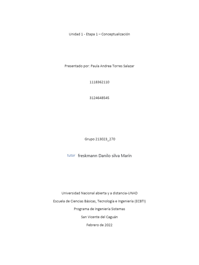 Unidad 1 - Etapa 1 - Conceptualización | PDF