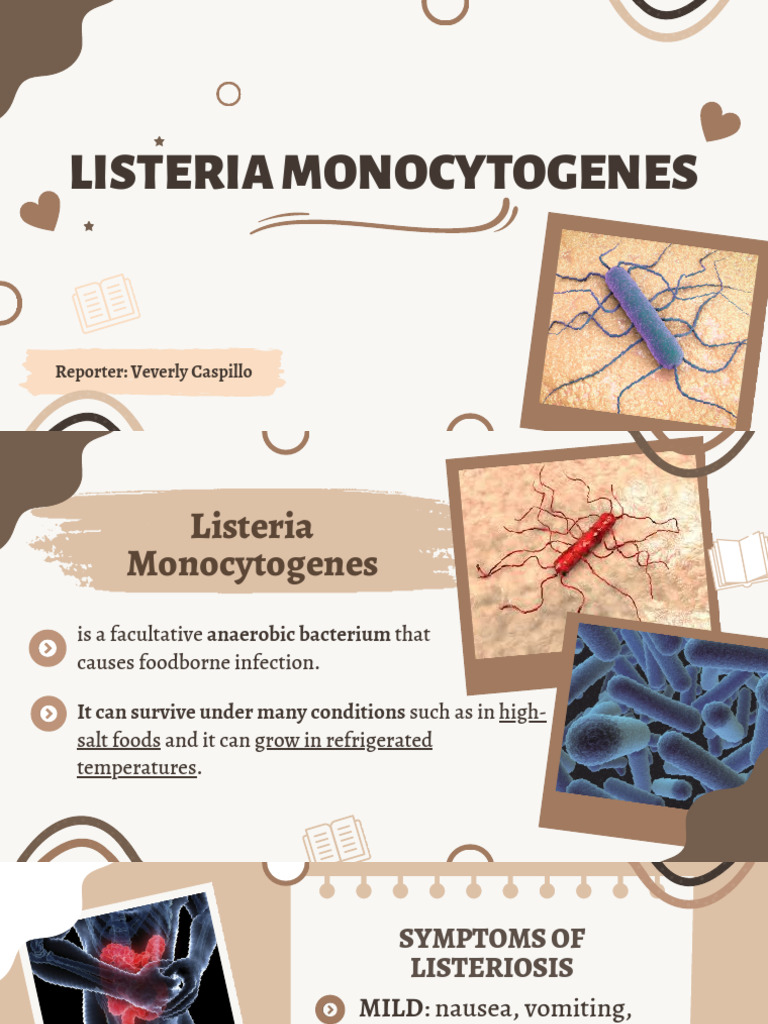 Listeria Monocytogenes Overview | PDF