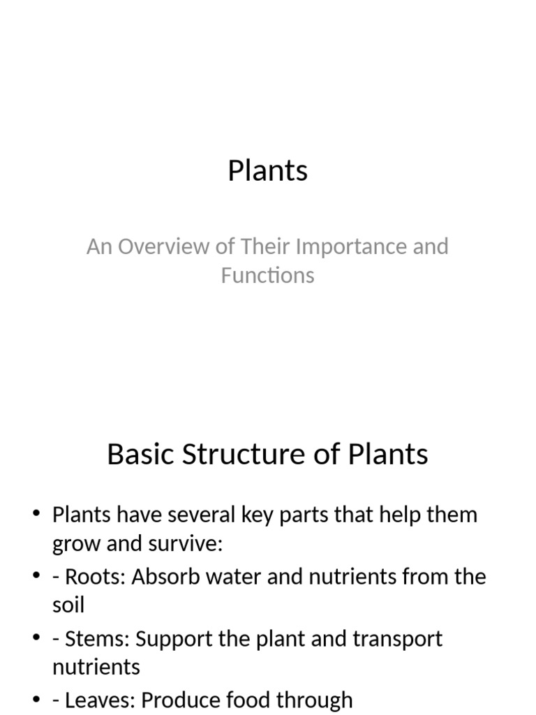 Plants Presentation | PDF