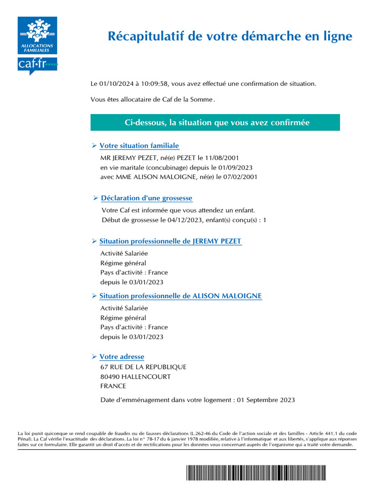 Cnaf | PDF