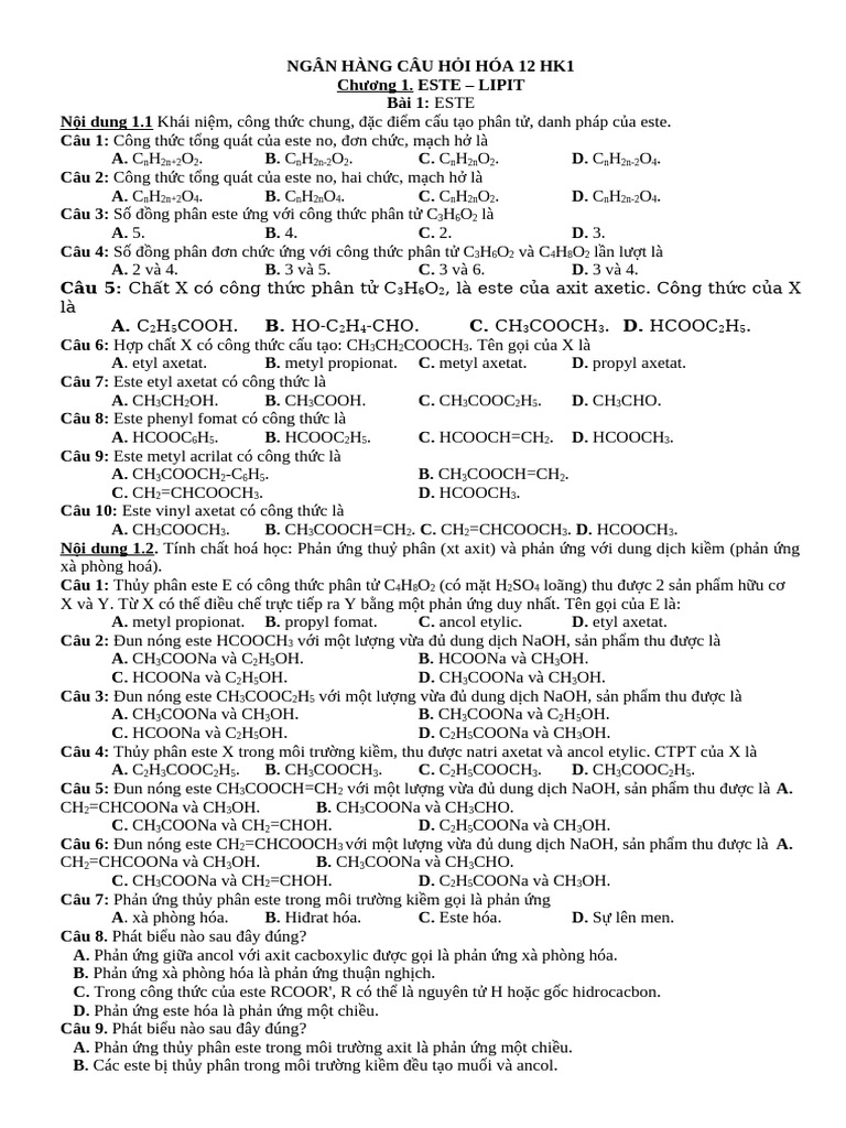 ĐỀ CƯƠNG HK1 - 2023 | PDF