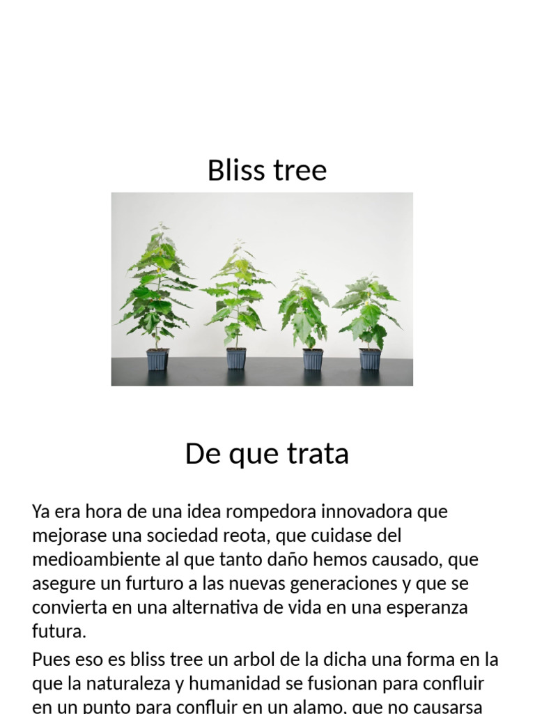 Bliss Tree | PDF