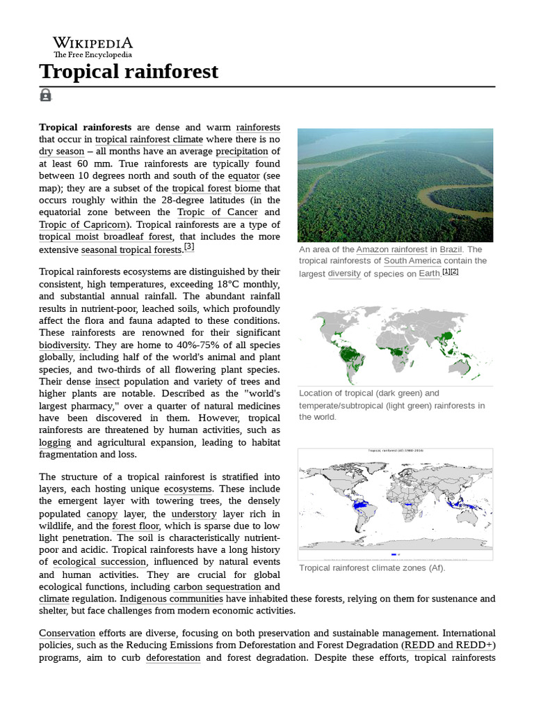 Tropical Rainforest | PDF