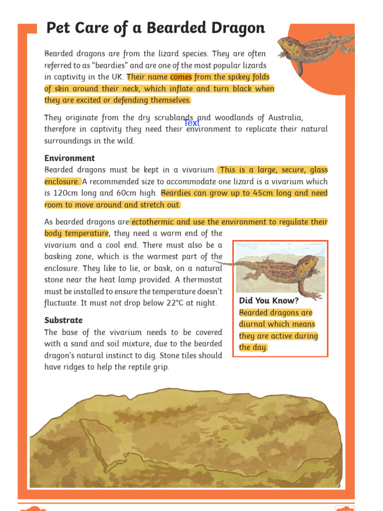 Care of A Bearded Dragon Di... Ted Reading Comprehension Activity | PDF